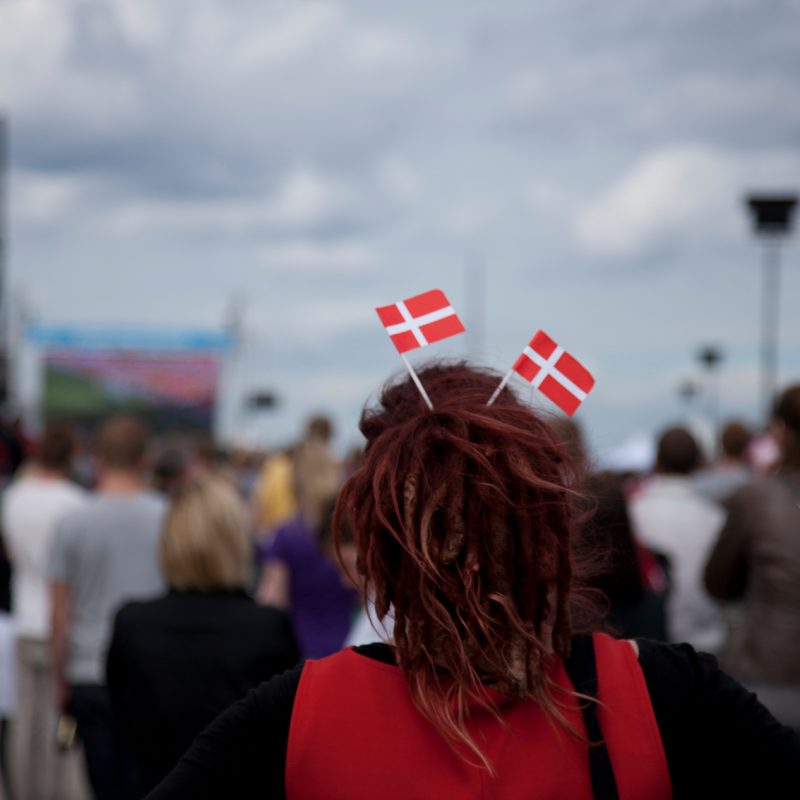 Danska zastava (Dannebrogen) – Nordic Point